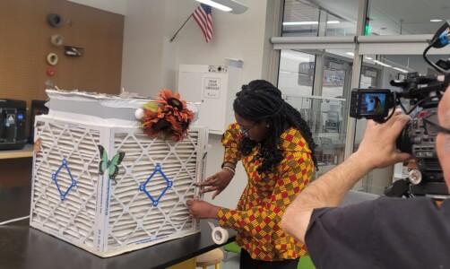 Gallery - Eniola Shokunbi